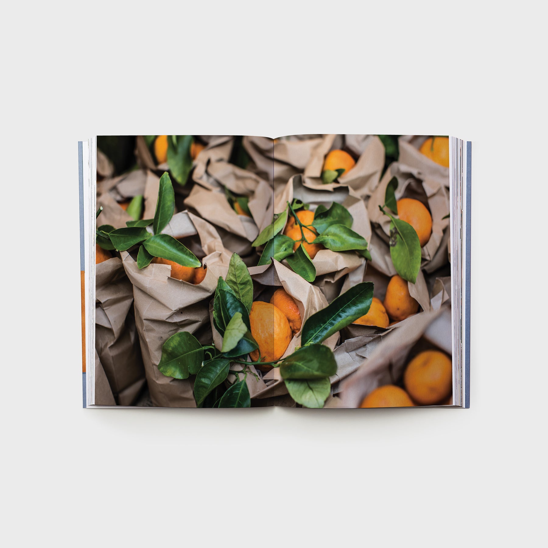 Explore a Wide Range of Gifting Books at Broadsheet Shop - Discover the ...